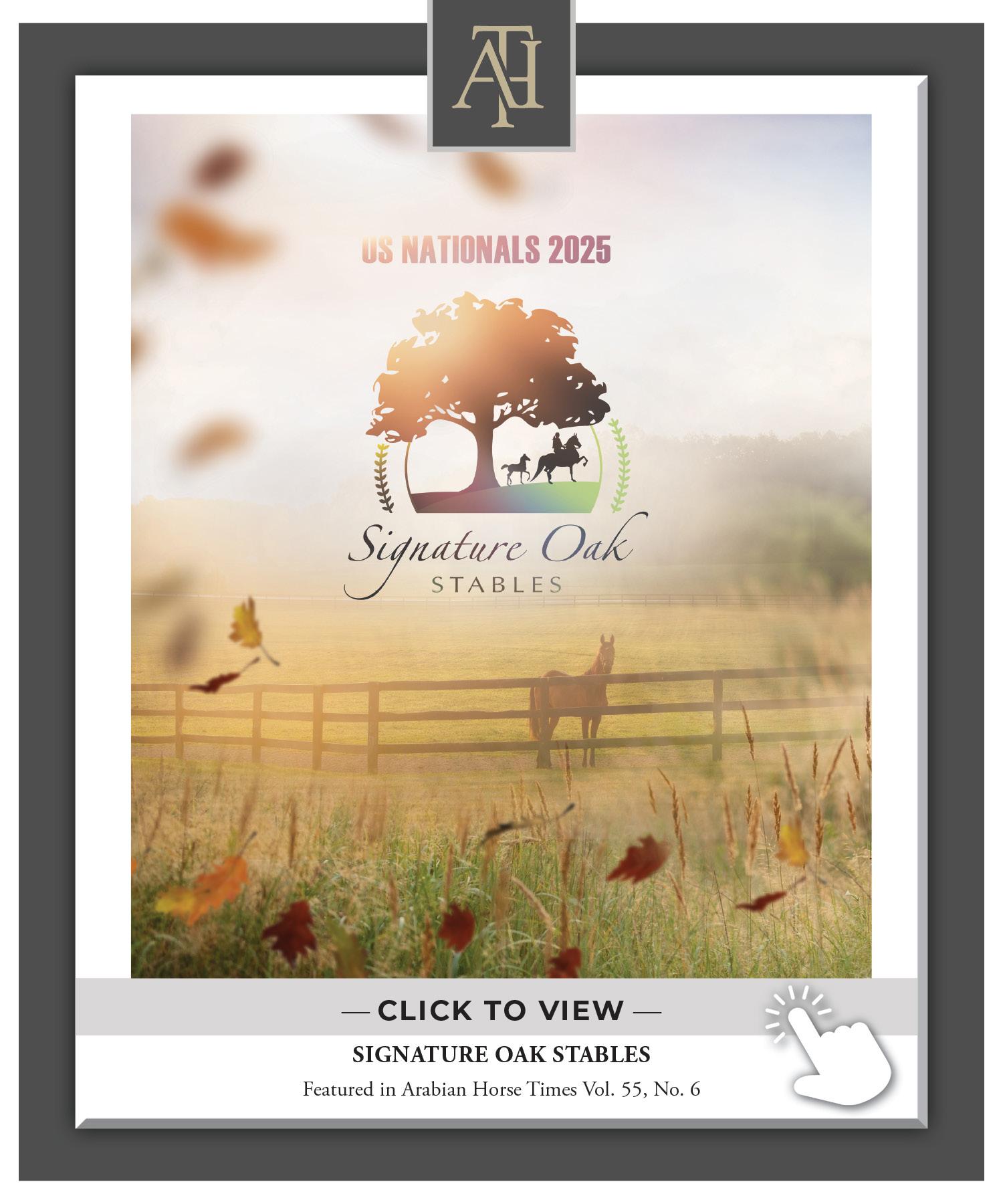 Signature Oak Stables Featured In AHT Vol. 55, No. 6 by Arabian Horse ...