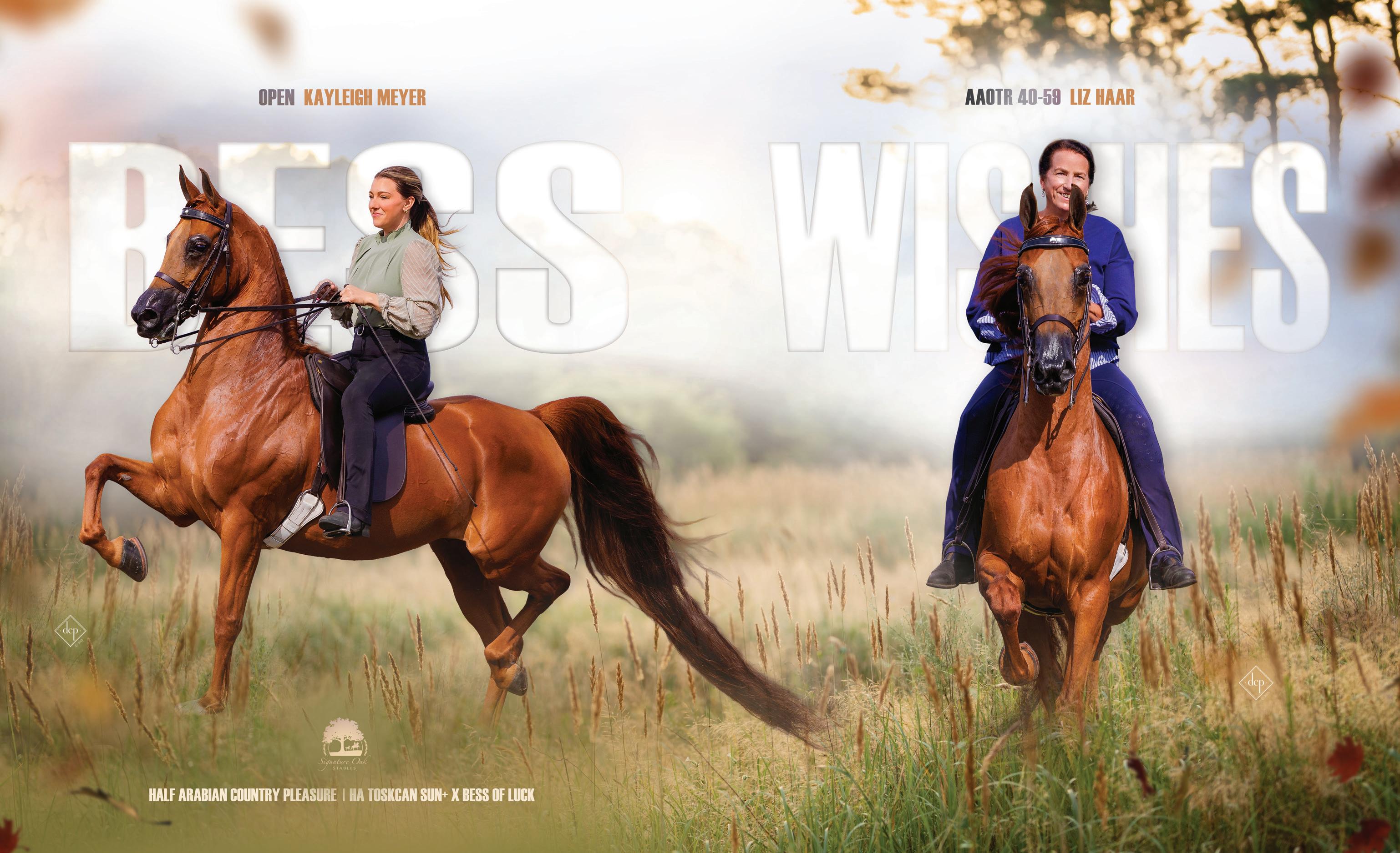 Signature Oak Stables Featured In AHT Vol. 55, No. 6 by Arabian Horse ...