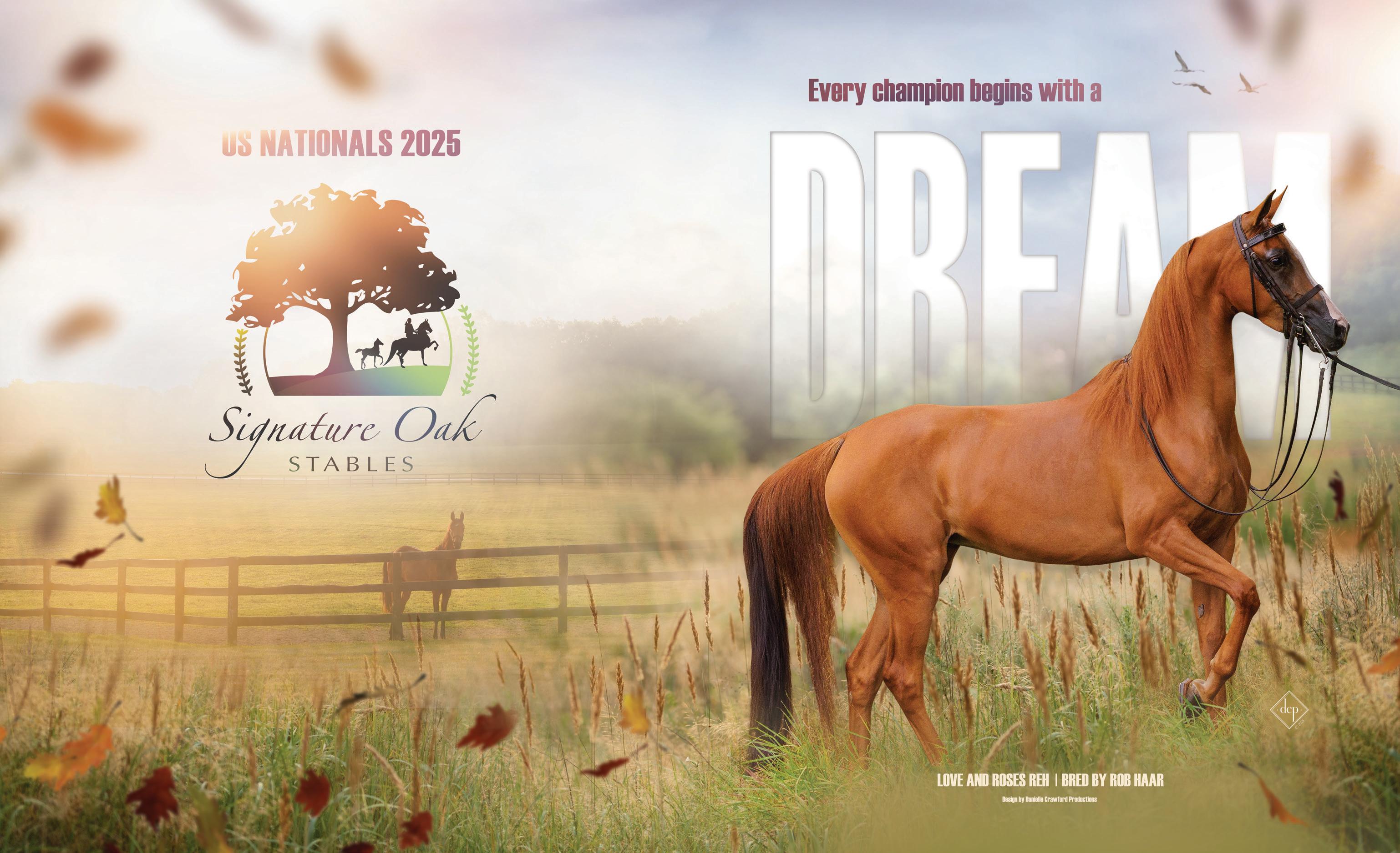 Signature Oak Stables Featured In AHT Vol. 55, No. 6 by Arabian Horse ...