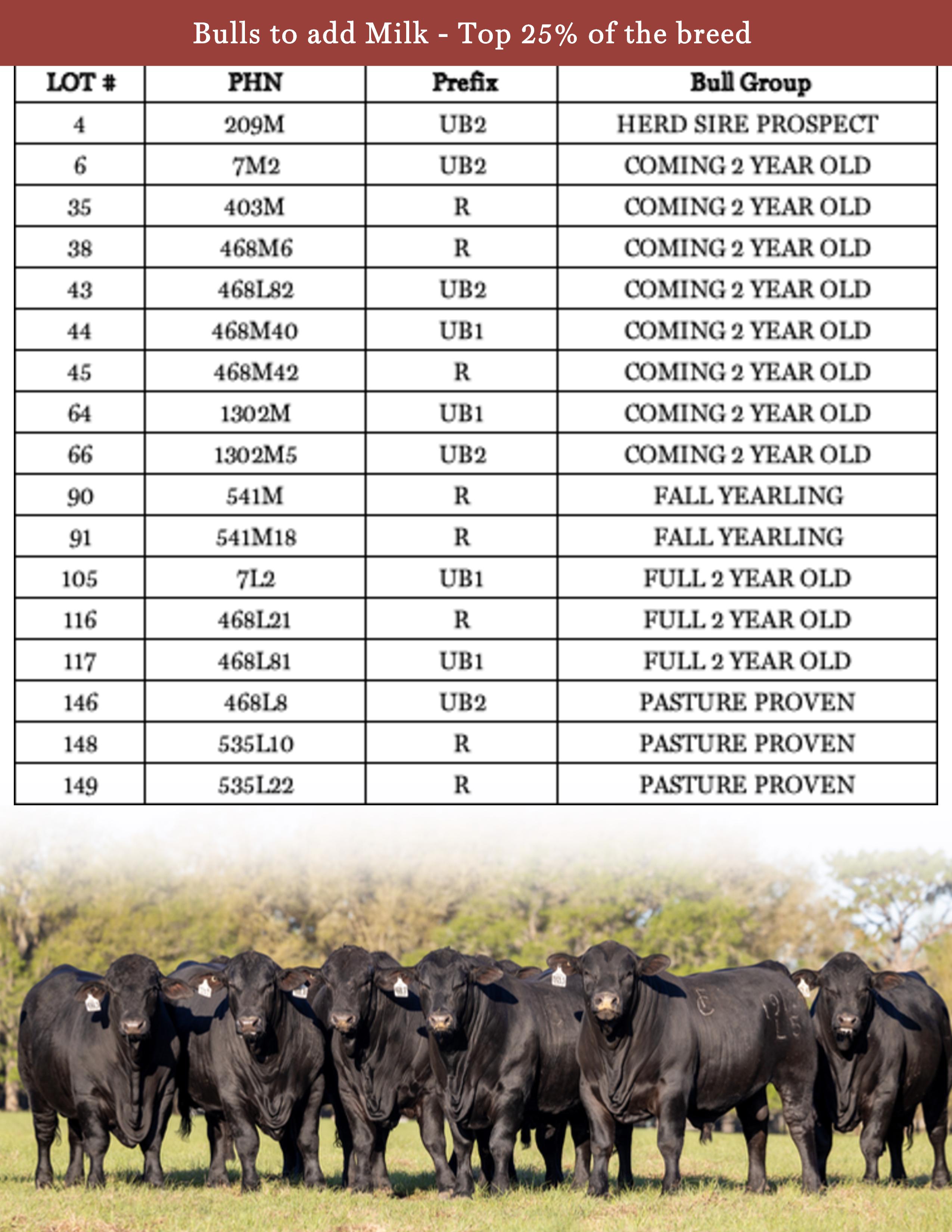 2025 Florida Prime Brangus Genetics Buyers Guide | October 23, 2025 ...