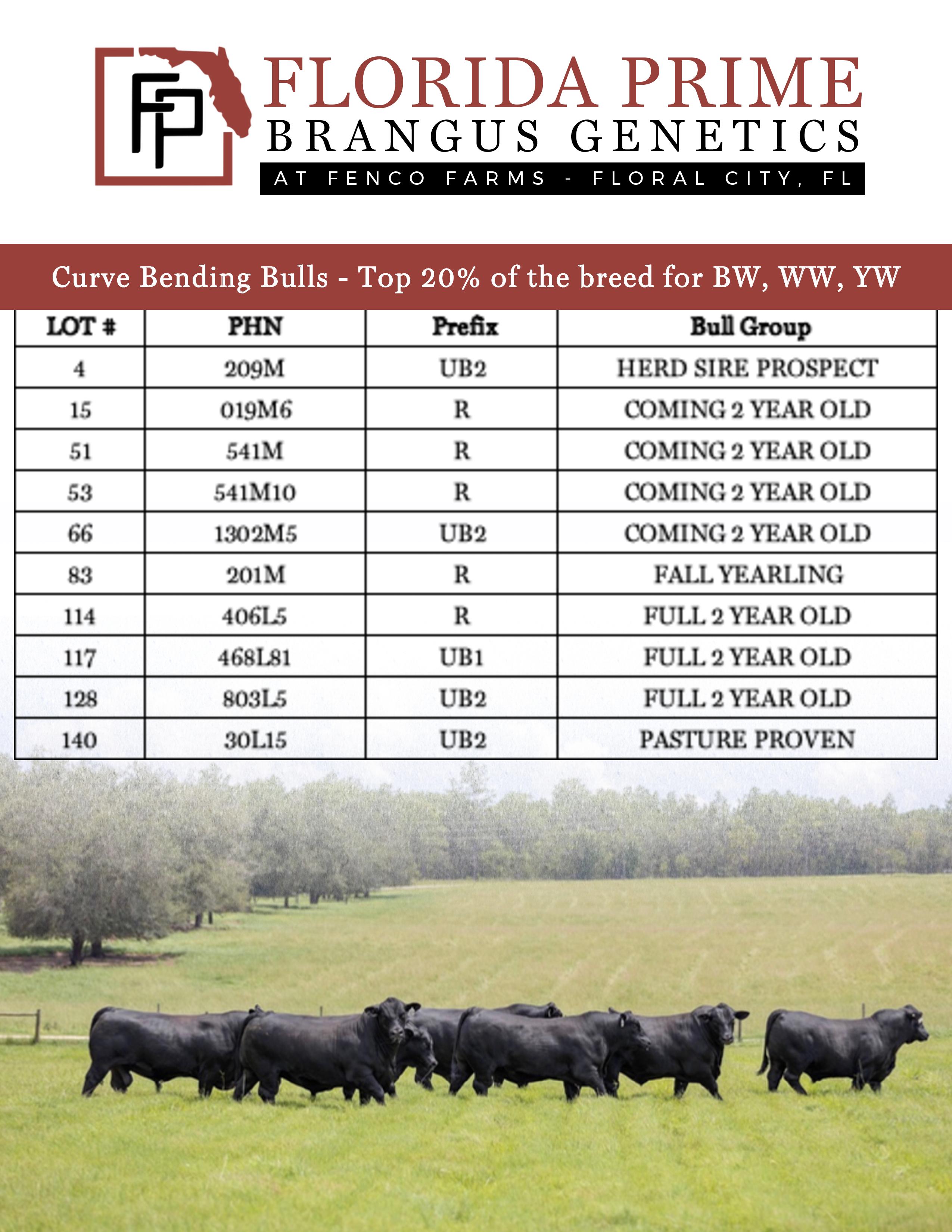 2025 Florida Prime Brangus Genetics Buyers Guide | October 23, 2025 ...