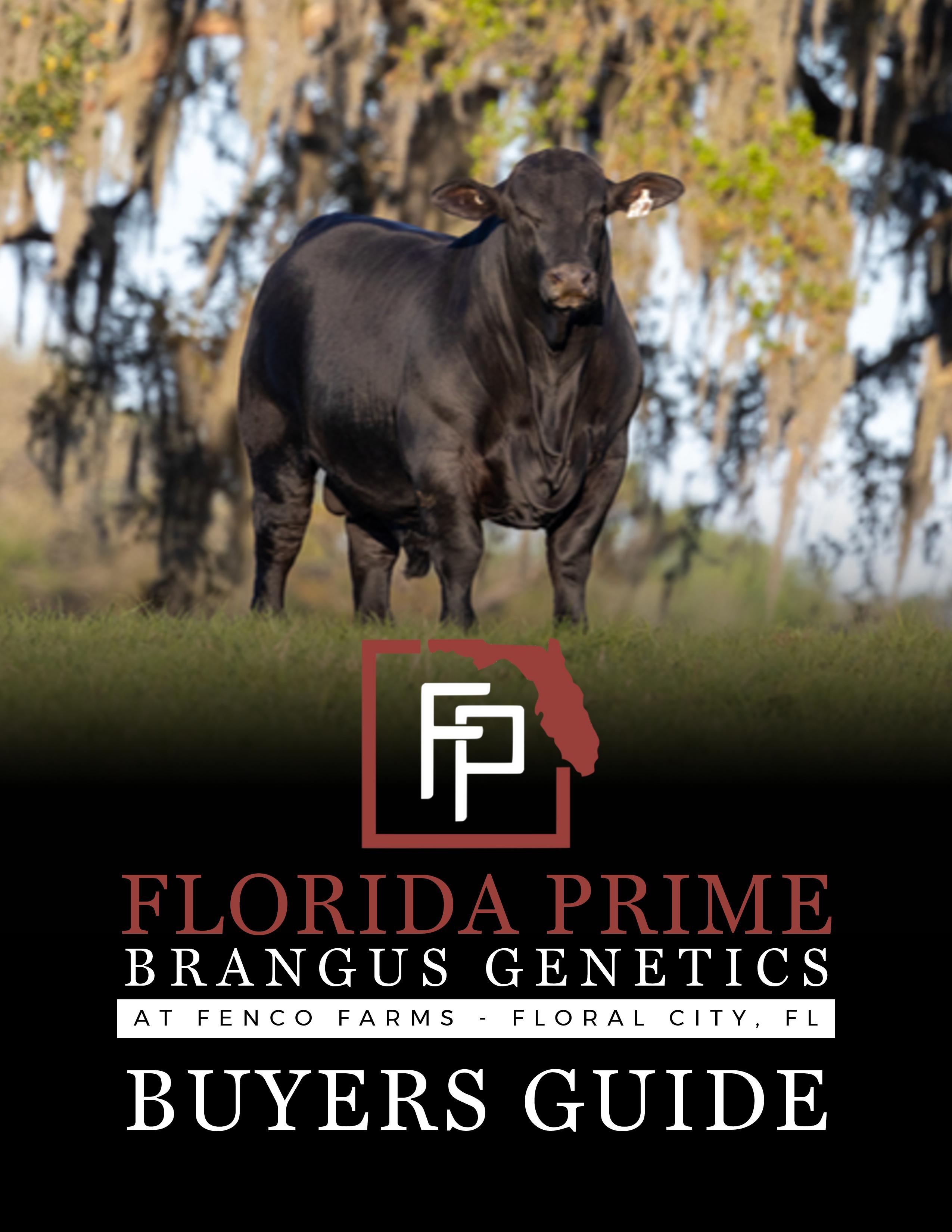 2025 Florida Prime Brangus Genetics Buyers Guide | October 23, 2025 ...