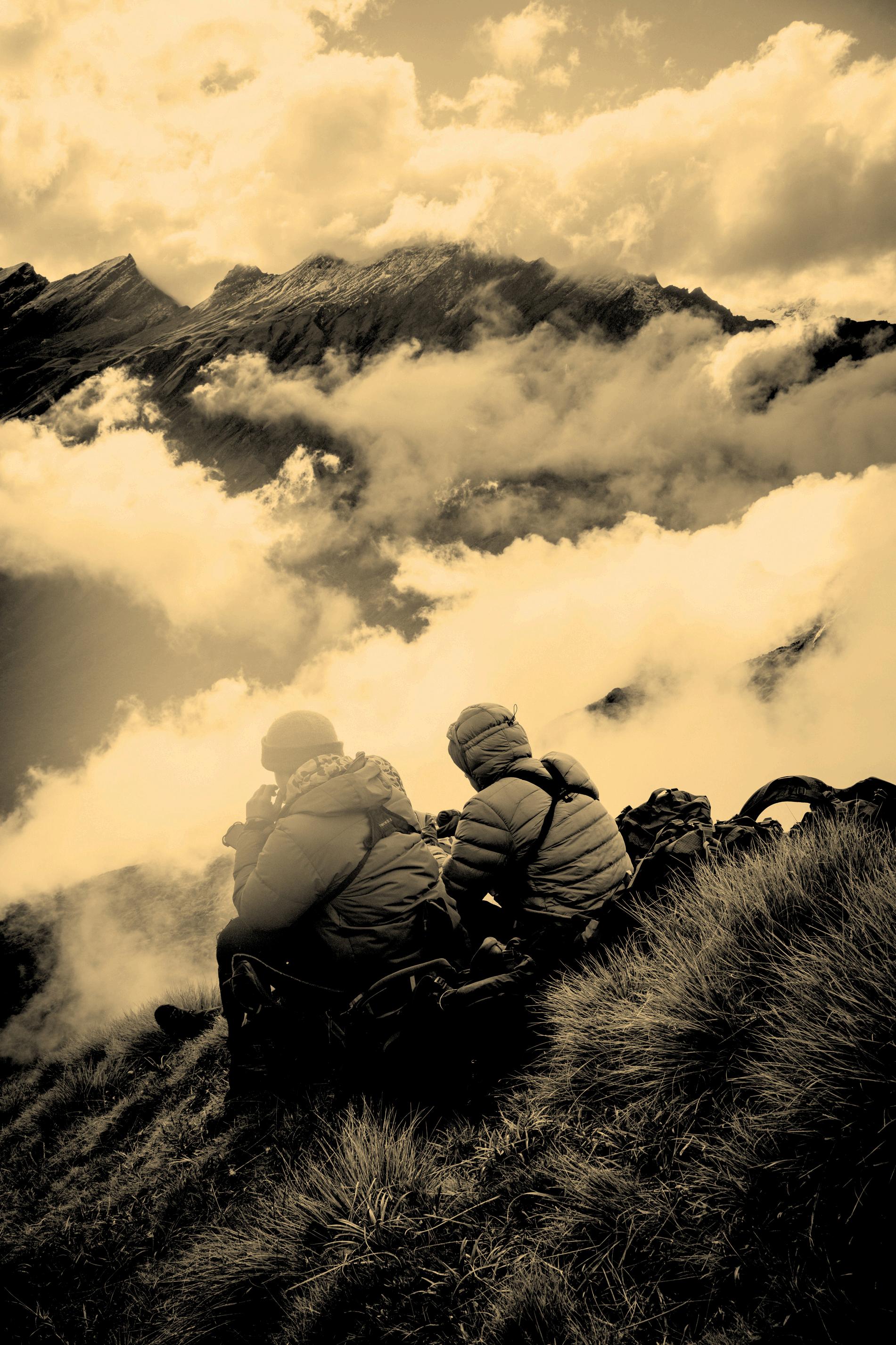 TRICER 2025 CATALOG- by Tricer - Issuu