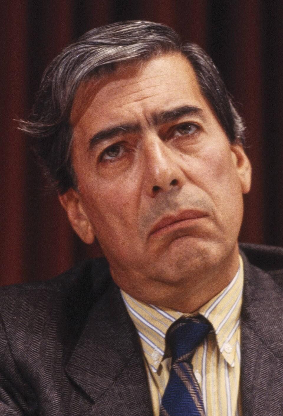 BOOM LATINOAMERICANO DE LITERATURA by Rosalba Esther Gómez Molinares ...