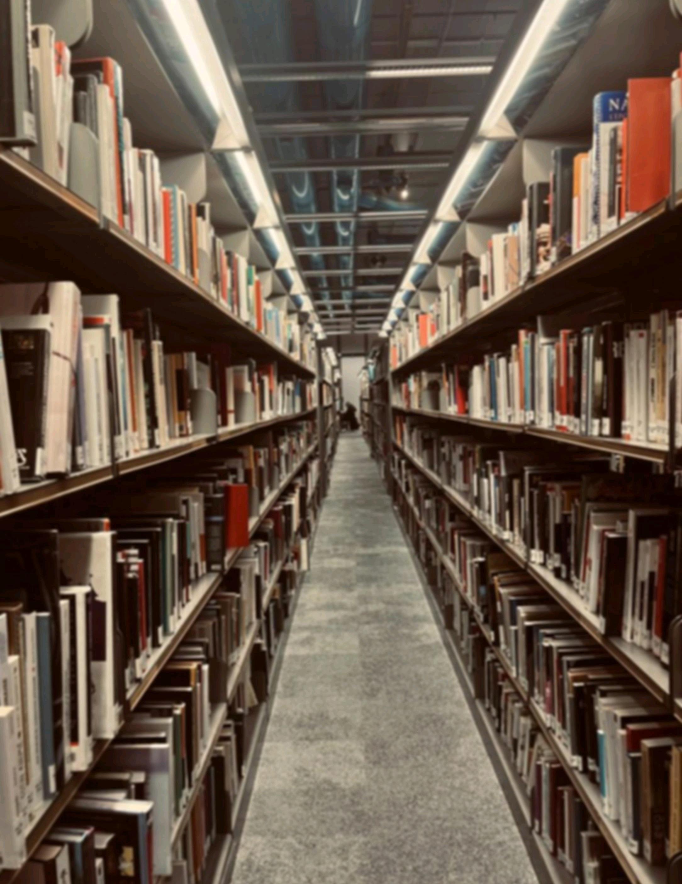 Quick Read The Dragon Grammar Book: Grammar for Kids, Dragons, and the Whole Kingdom by Diane ...