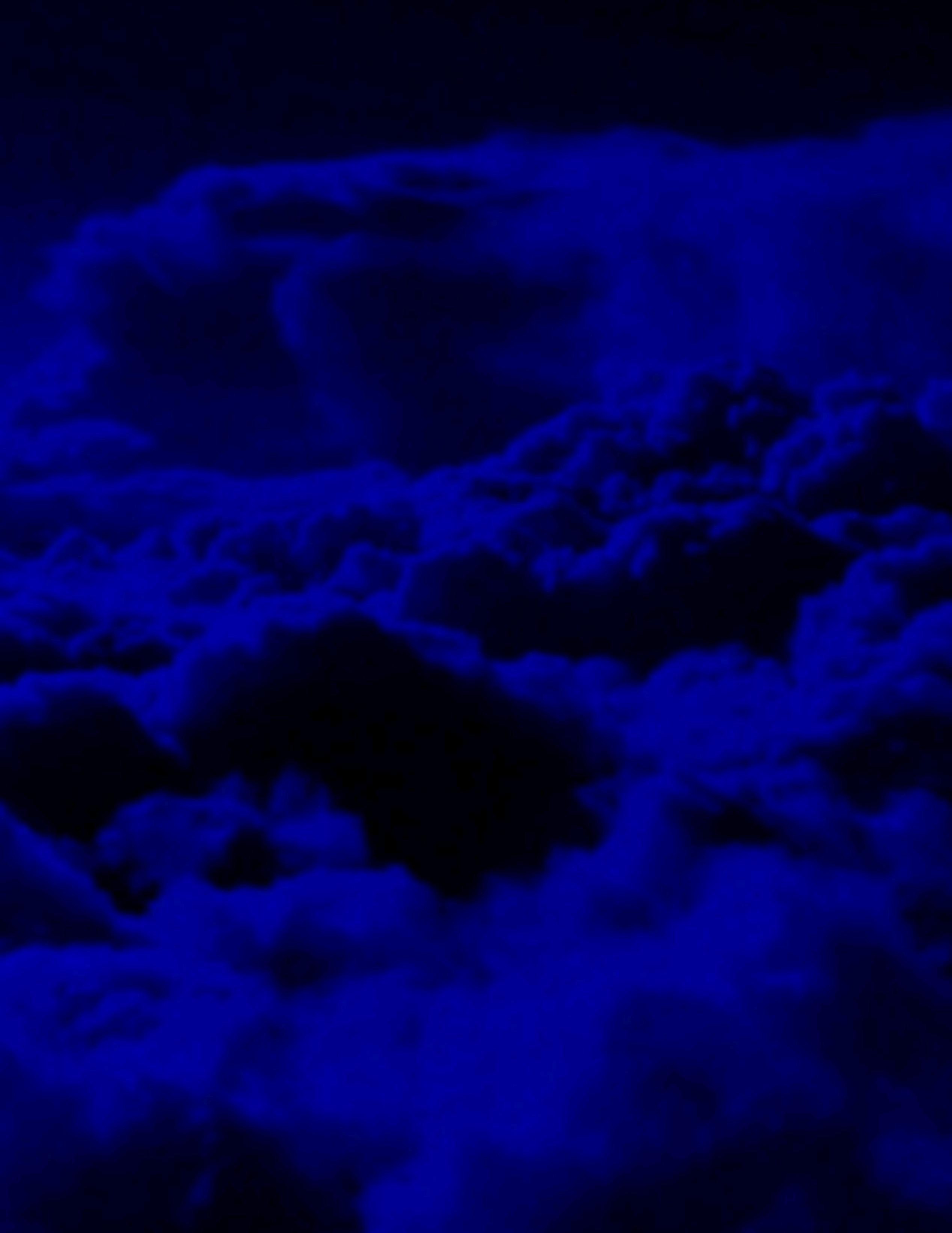 Quick Ebook Identity and Difference by Martin Heidegger by gloriahandxw ...