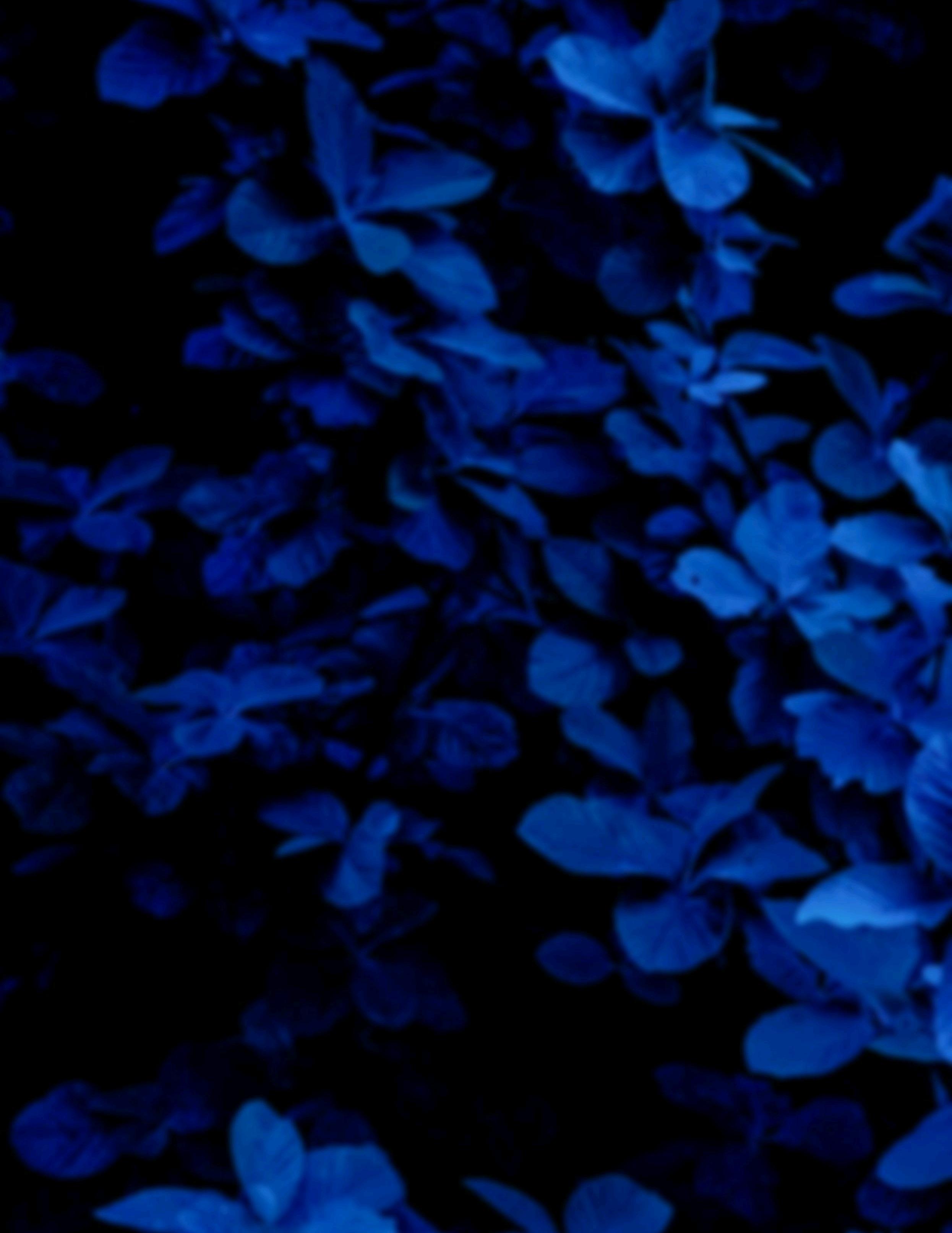 Quick Read An Indigenous Peoples' History of the United States ...