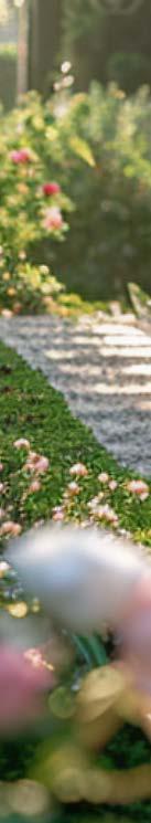 Alcove Magazine Fall 2025: Small Garden Design by Alcove - Issuu