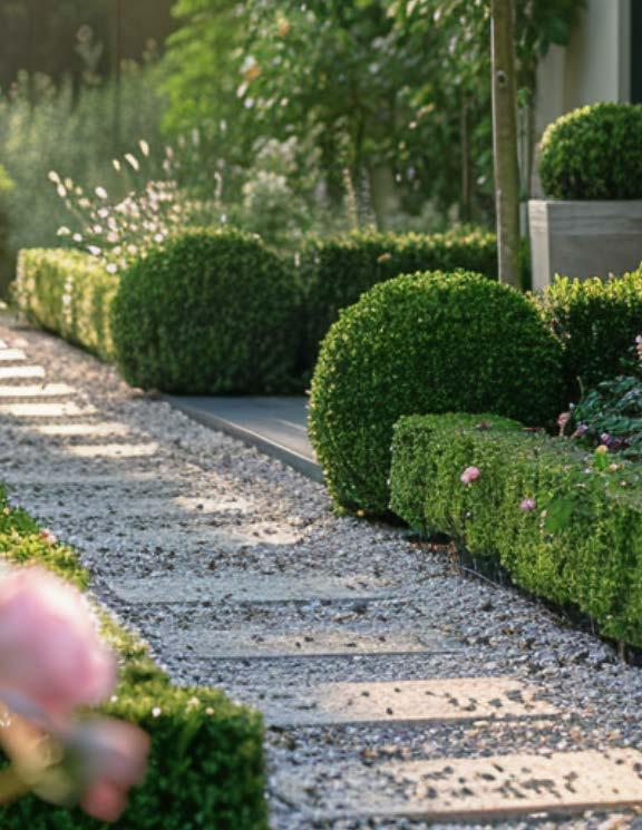 Alcove Magazine Fall 2025: Small Garden Design by Alcove - Issuu