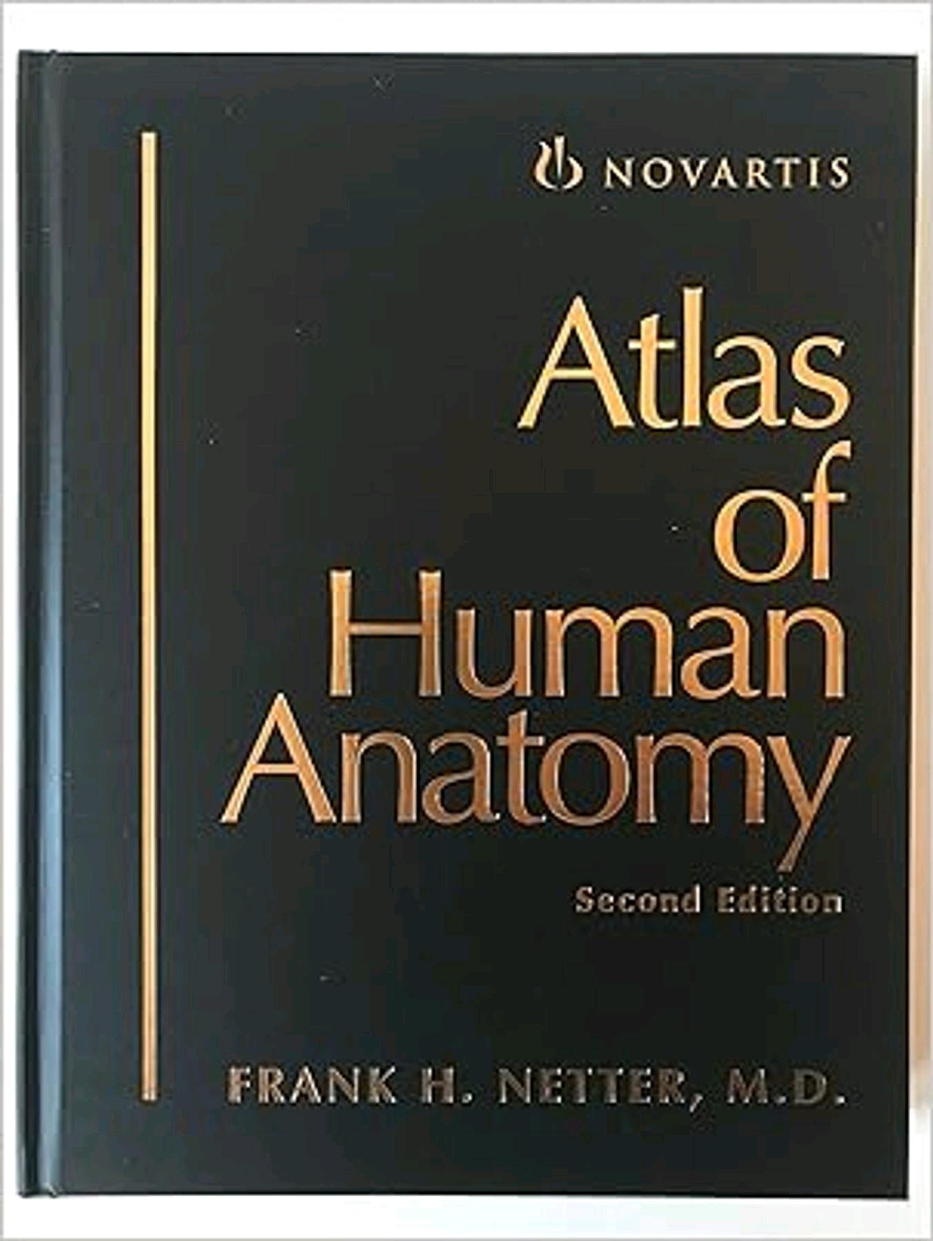 EBOOK Atlas of Human Anatomy by Frank H. Netter by missourischneiderok ...