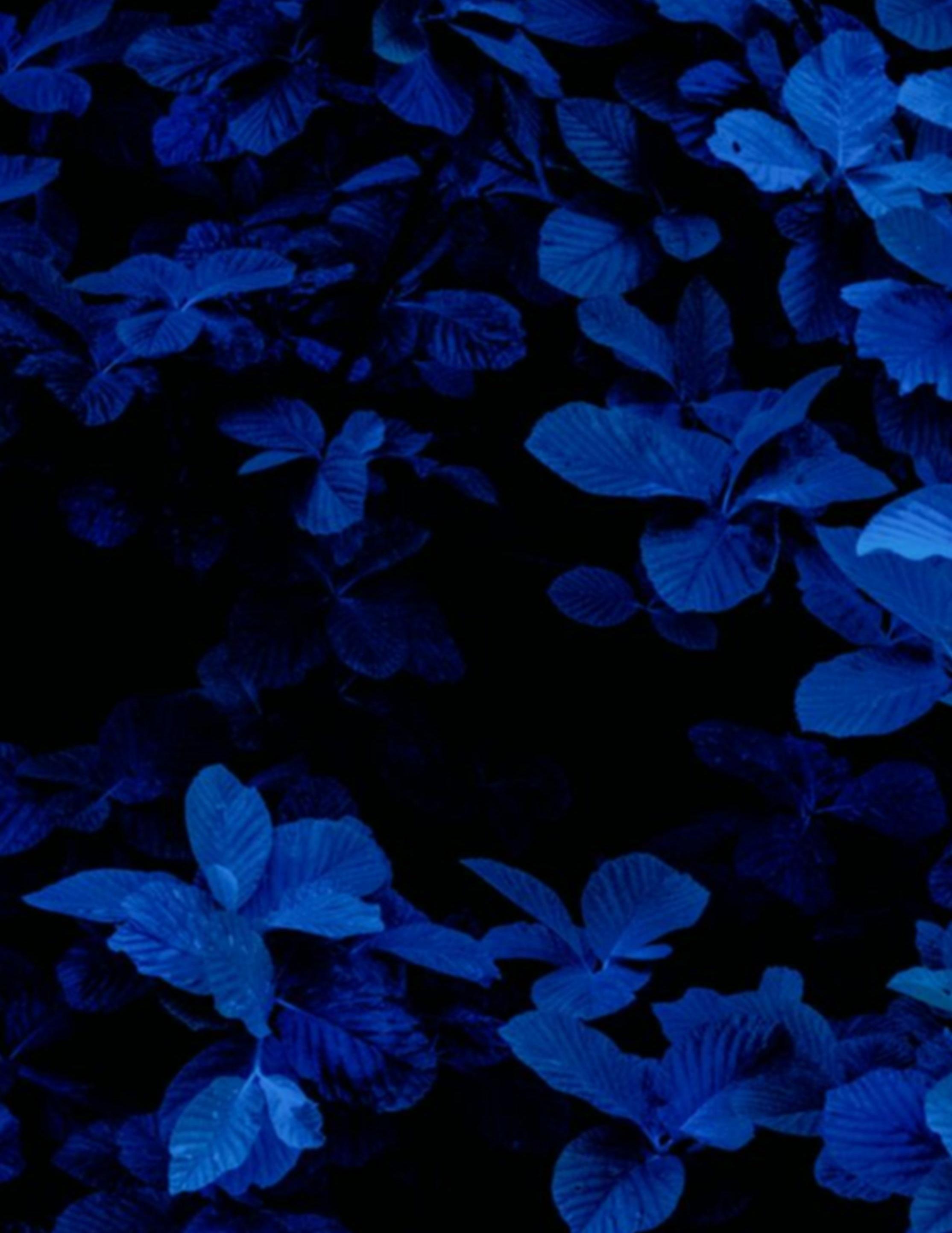 Start Reading Brilliant Beacons: A History of the American Lighthouse by Eric Jay Dolin by ...