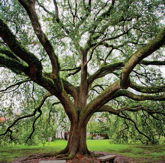 The Exchange, Fall 2025 - A New Campus Home and a New Chapter by The ...