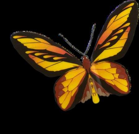 MEDECIELO_Angela Nicole_SLAM BOOK by Hidea Ashi - Issuu