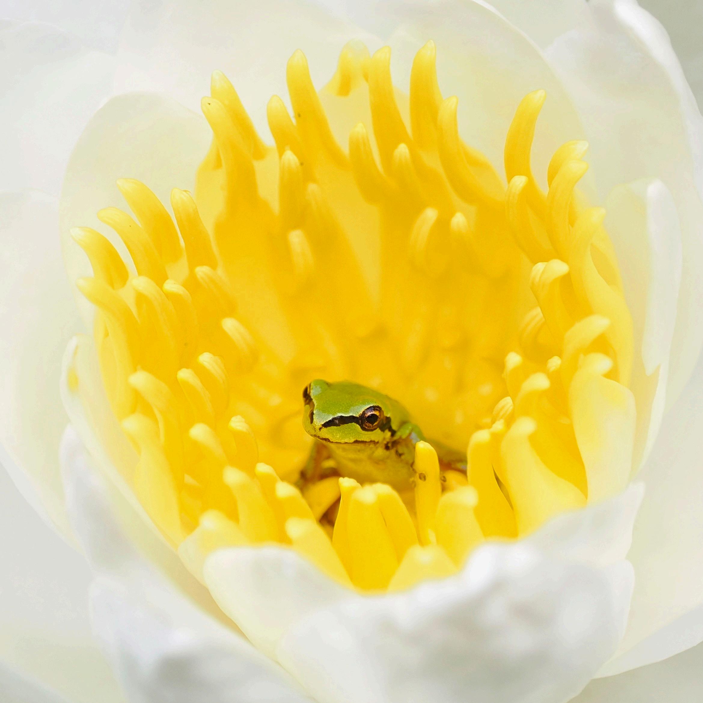 November December 2025 Hyla Hylighter by Bridget Pearl - Issuu