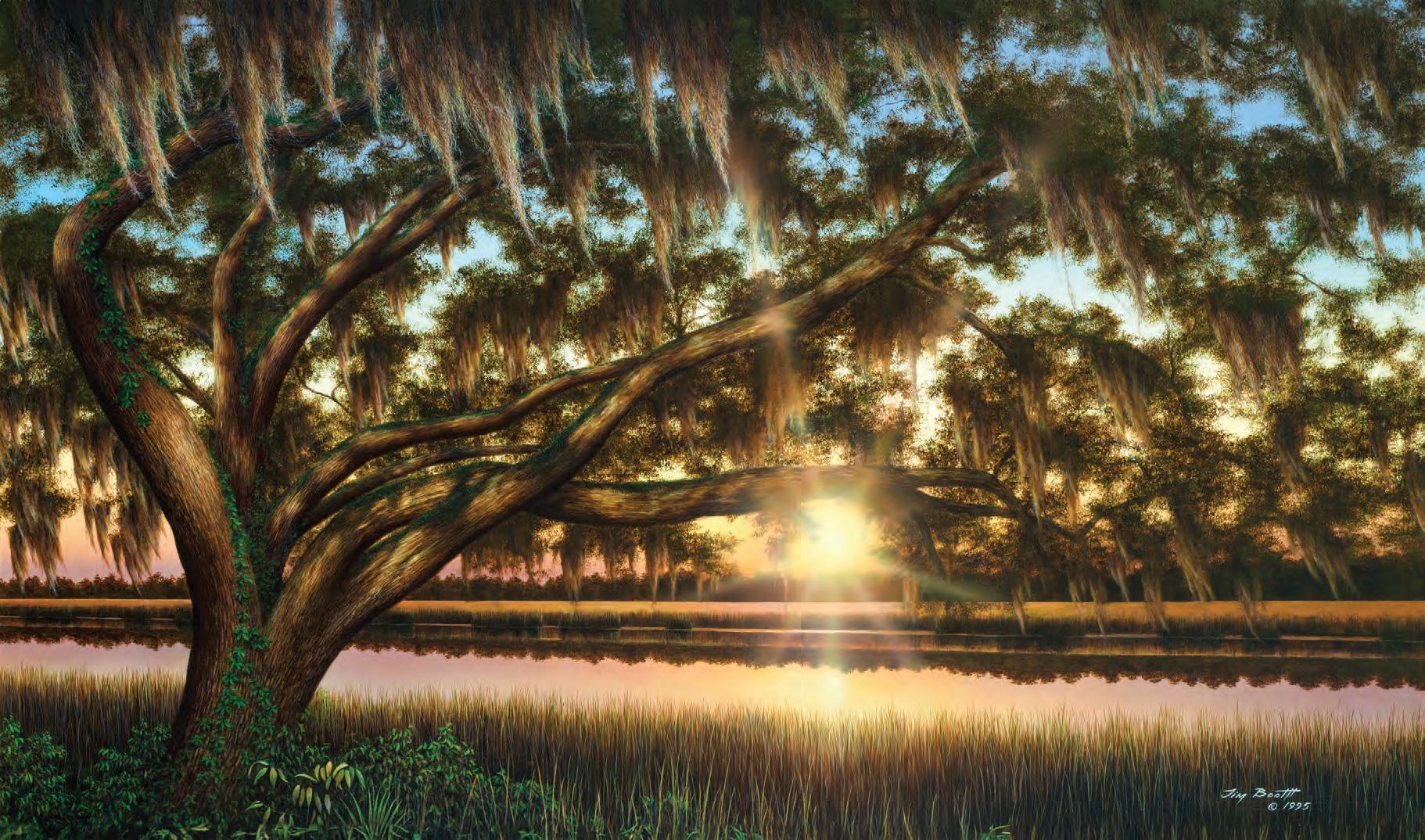 Beacon of the Lowcountry Sample by jimboothlegacyart - Issuu