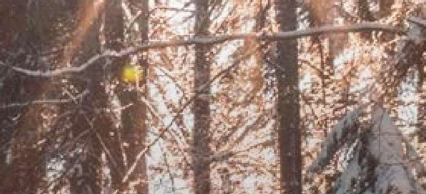 TVB-Busfolder_Winter 2025_2026 by kufsteinerland - Issuu