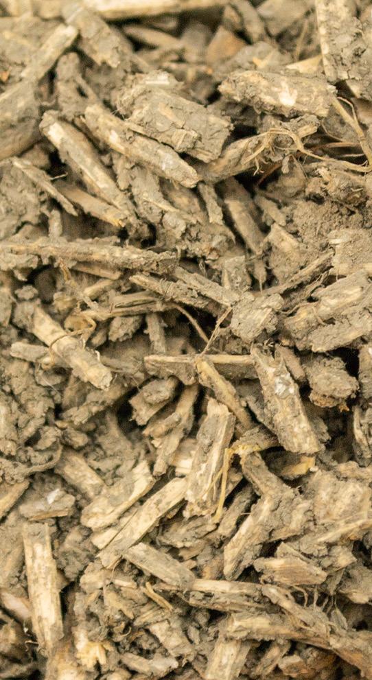 Bio-based and Natural Materials: Executive Summary by pw_marketing - Issuu