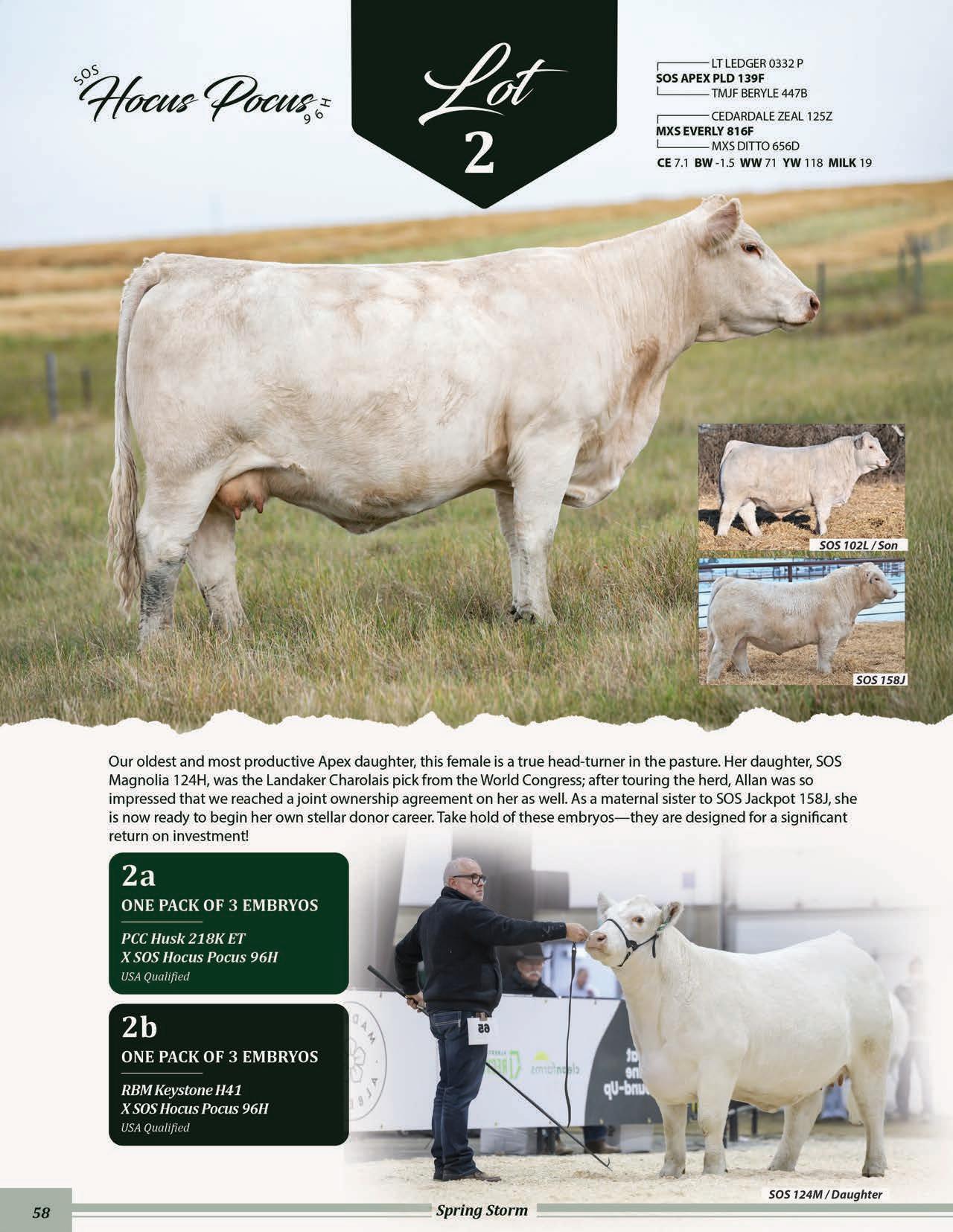 Springside "Spring Storm" Online Frozen Genetics Sale by ...