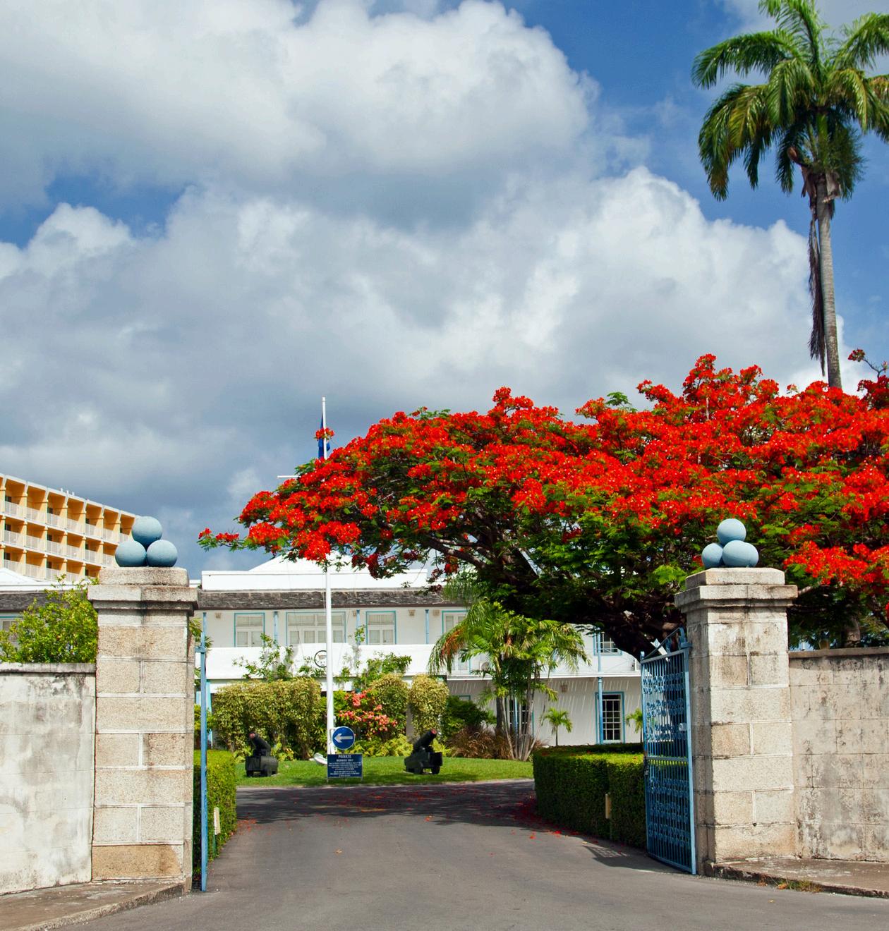 ANNUAL REPORT 2025 by thebarbadosyachtclub - Issuu