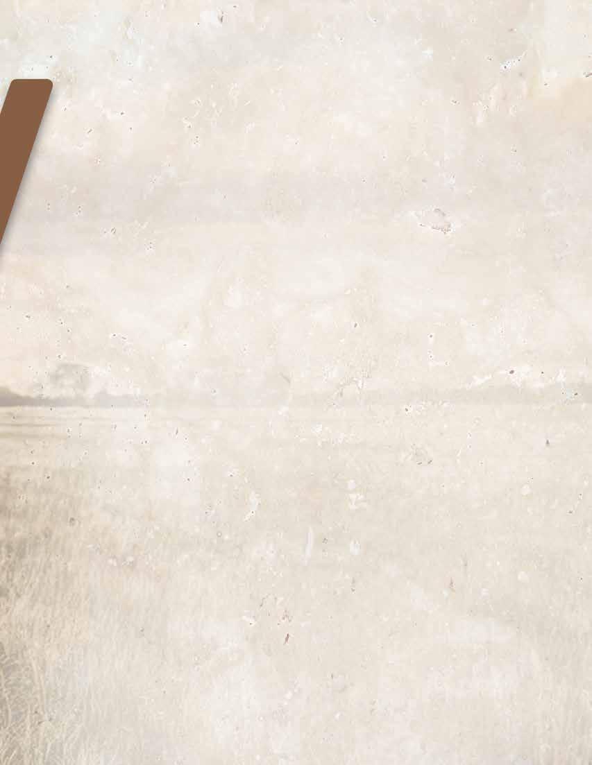 4th Annual Jared Werning Cattle Production Sale by ALM, LLC - Issuu