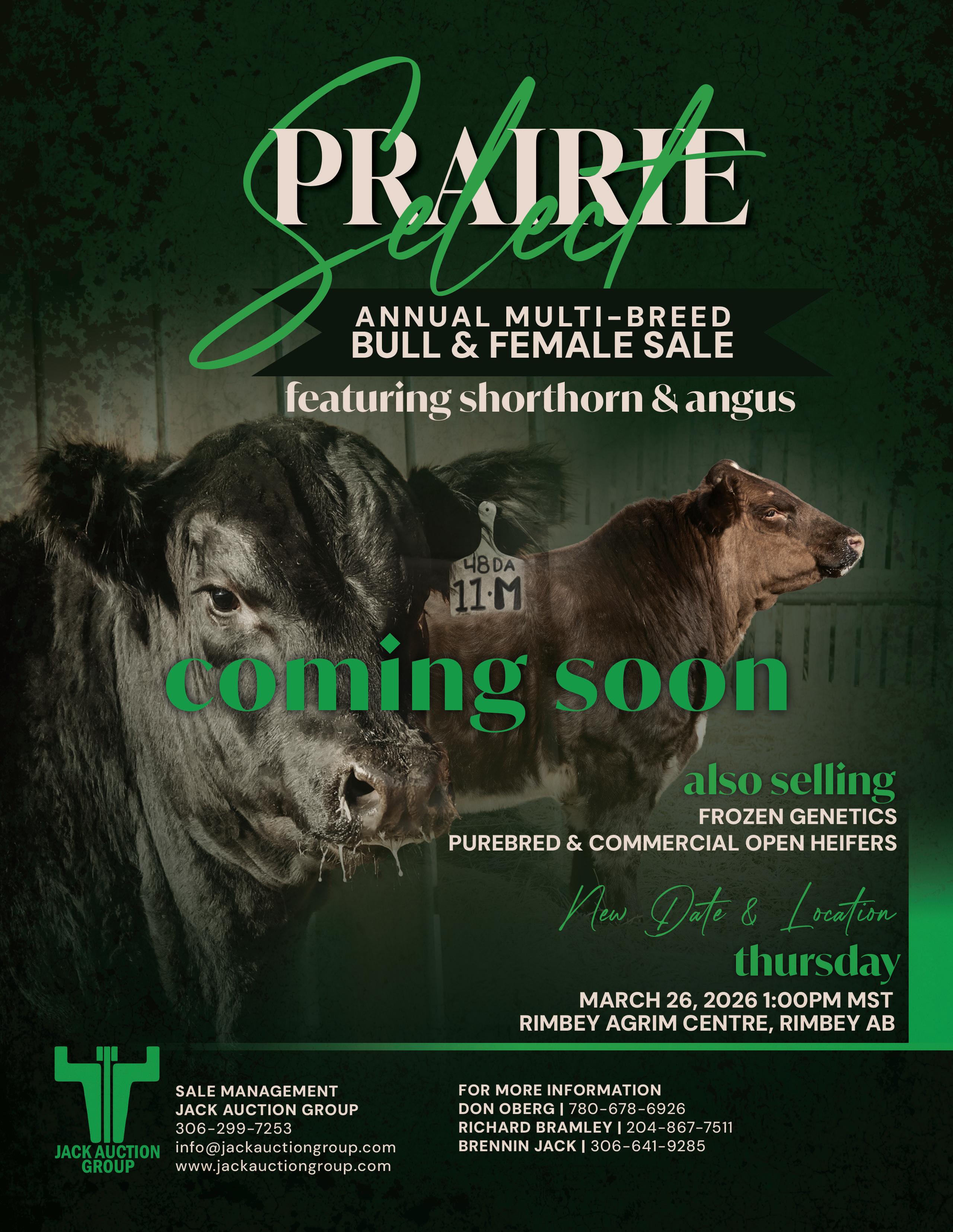 Prairie Select Annual Multi-Breed Bull & Female Sale 2026 by Sage ...