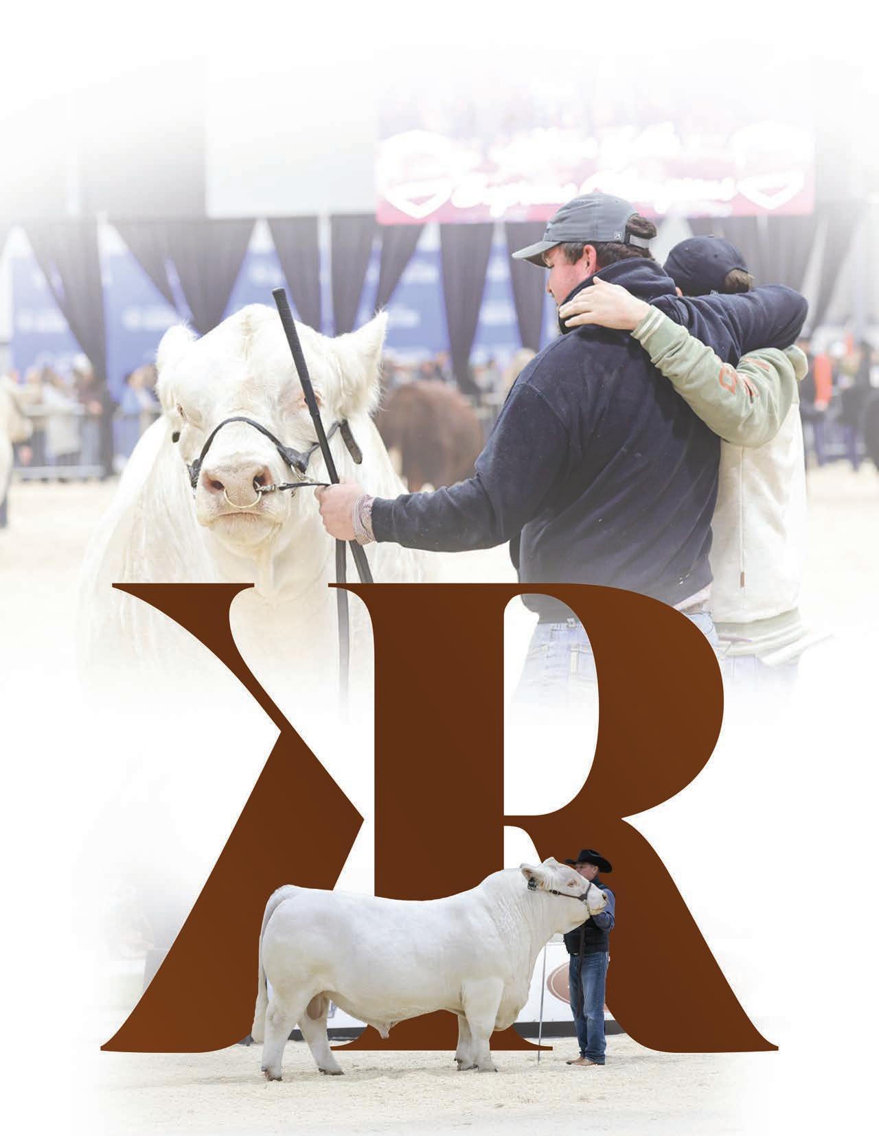 Kay-R Land and Cattle Bull Sale - Waskatenau, AB by DLMS-Cattlevids.ca ...