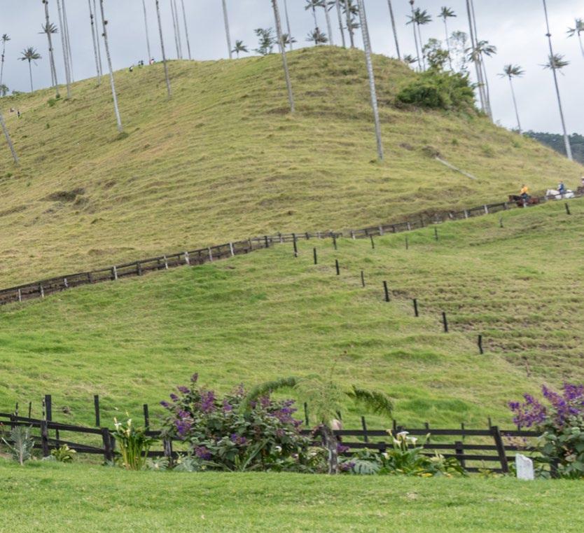 Colombia 2026 by marketing.w2m - Issuu