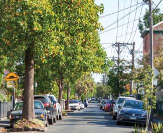Stonnington News April - May 2026 by costonnington - Issuu