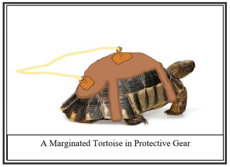 The Potential of Tortoises in Classical Temple Construction - Issuu